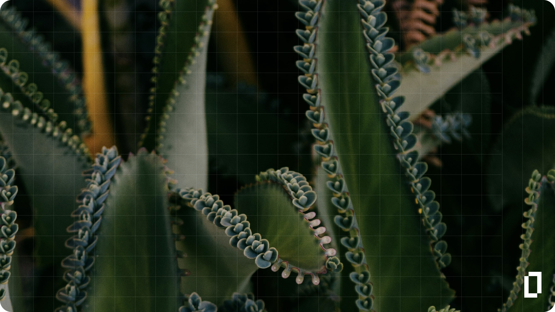 SBTi Corporate Net Zero Standard V2.0 Draft: What You Need to Know